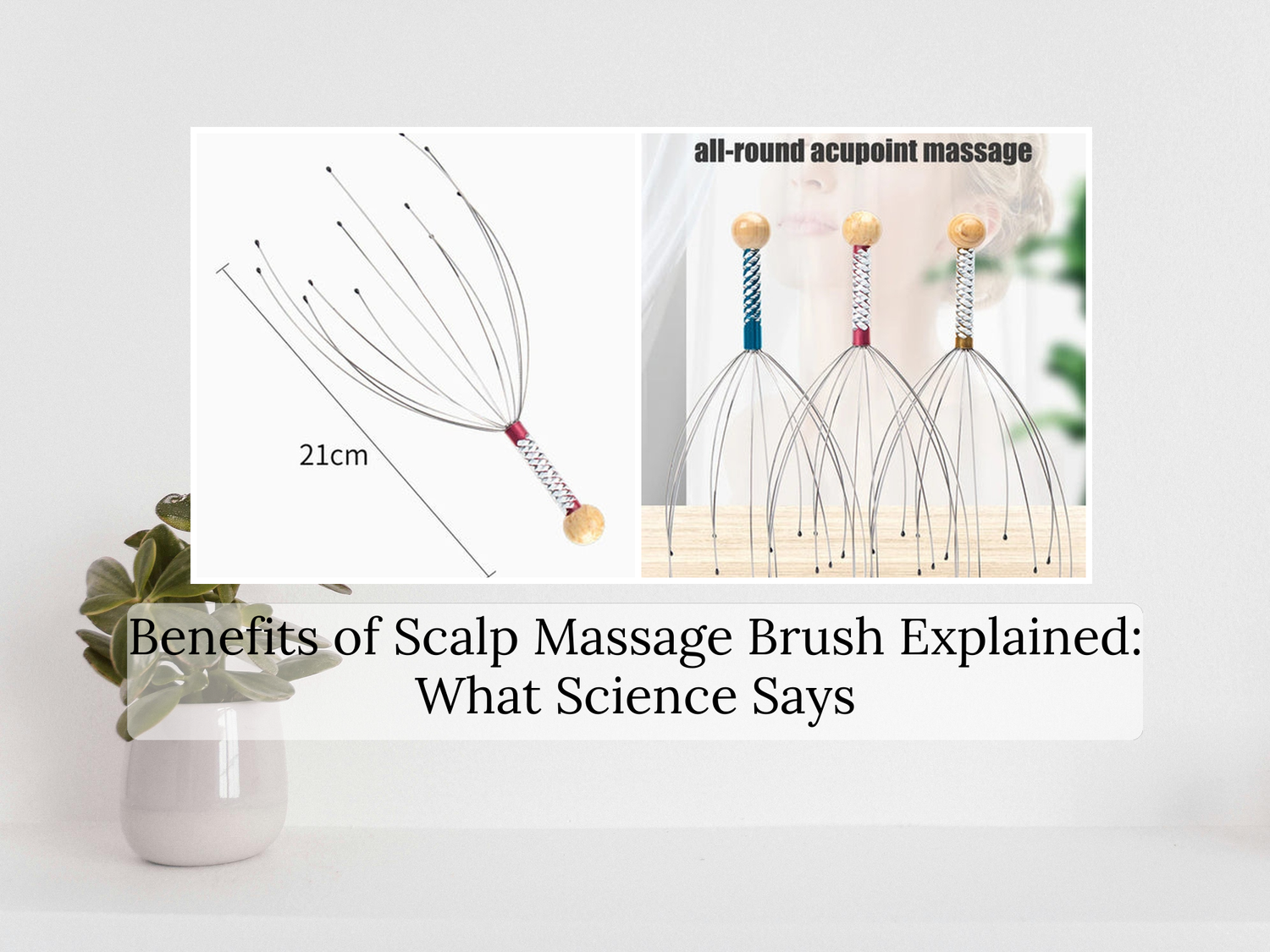 Benefits of Scalp Massage Brush Explained: What Science Says – KentDO ...