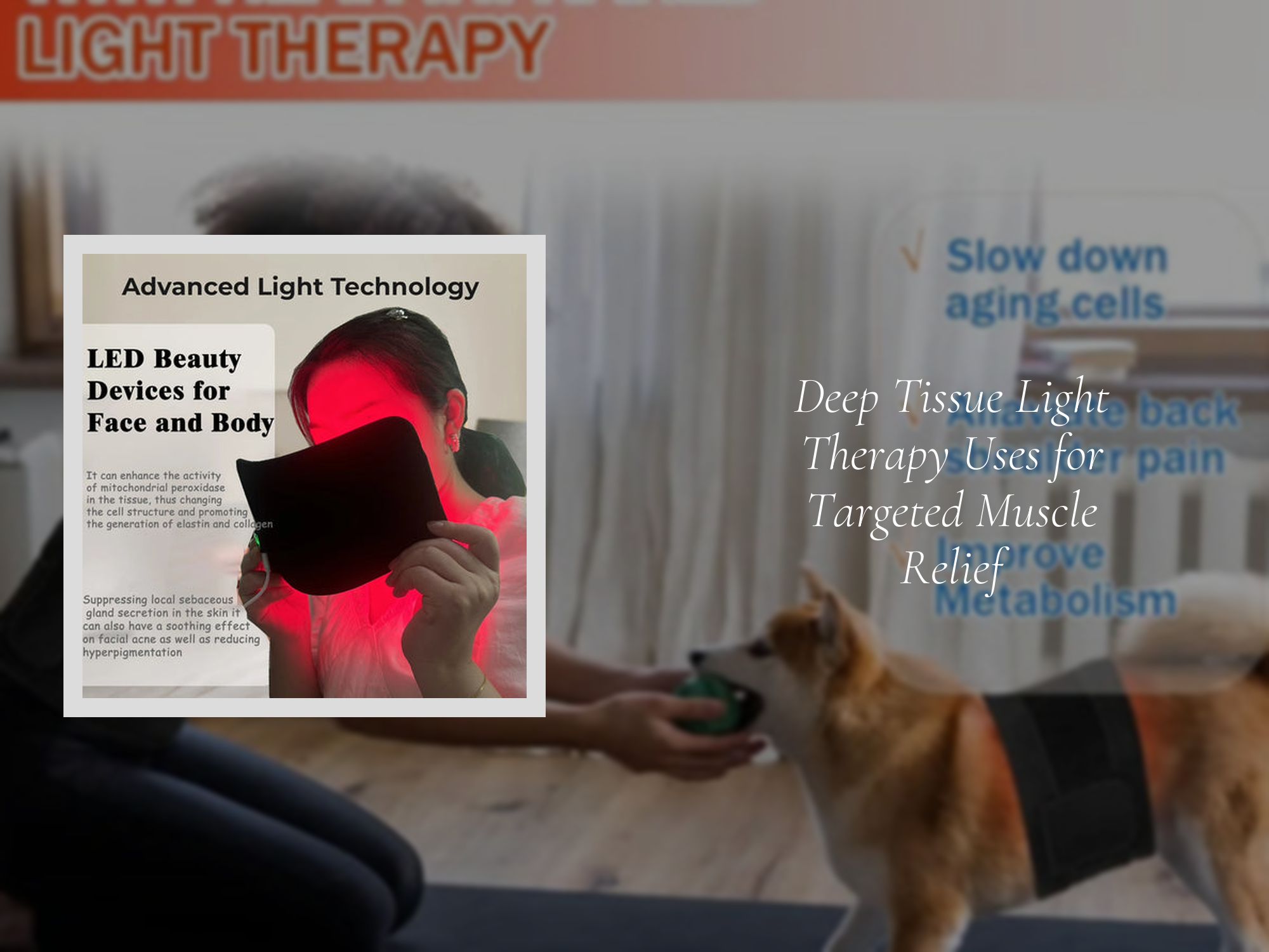Deep Tissue Light Therapy Uses for Targeted Muscle Relief – KentDO ...