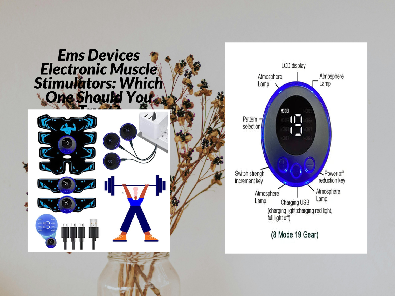 Ems Devices Electronic Muscle Stimulators: Which One Should You Trust ...